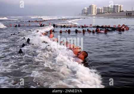 Navy SEAL candidates during surf passage exercises on the first phase ...