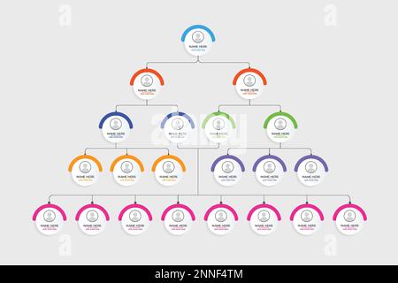Job position and office management chart infographic vector with ...