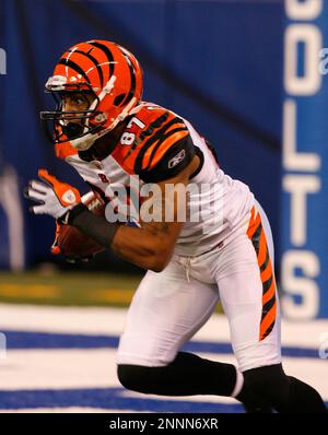 07 December 2008: Cincinnati Bengals' Andre Caldwell (87) against ...
