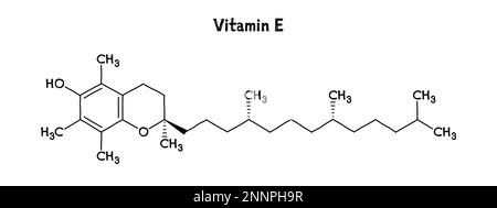 Vitamin E molecular structure. Vitamin E is a fat-soluble, essential ...