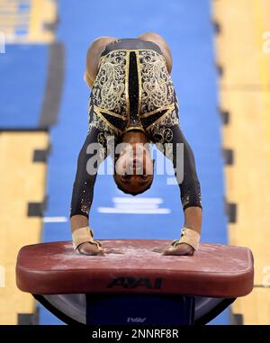 UCLA gymnast Chae Campbell competes in the vault against Arizona State ...