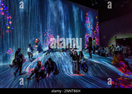 Digital Art Museum, Epson Team Lab Borderless, Odaiba Island, Tokyo ...