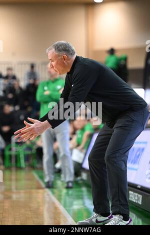 St. Thomas - Minnesota Tommies head coach John Tauer looks on during an ...