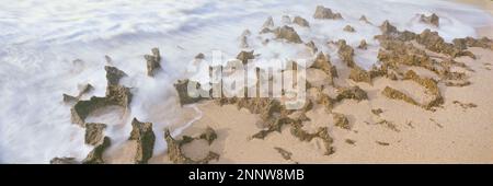 Sea of Cortes surf on beach, El Cardonal, Baja California Sur, Mexico ...