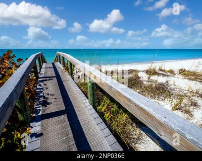 Footpath to beach of Gulf of Mexico, Pass-A-Grill, Florida, USA Stock ...