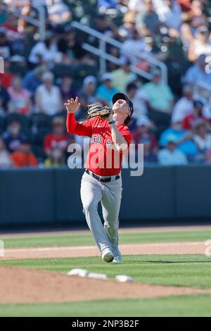 Boston Red Sox Nick Sogard, center, celebrates after driving in the ...