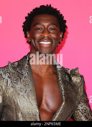 Timothy Richardson arrives at the 54th NAACP Image Awards on Saturday ...