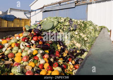 Expired Organic bio waste. Biodegradable waste decomposing, a mix of ...