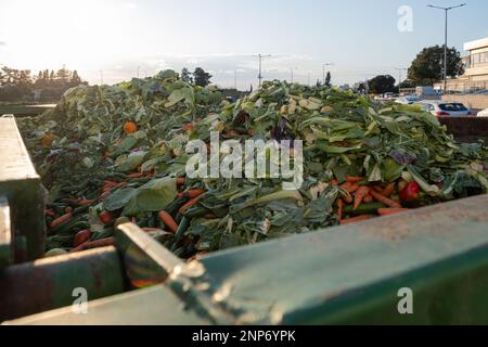 Expired Organic bio waste. Biodegradable waste decomposing, a mix of ...