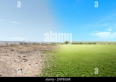 The difference between drought ground and fertile soil on the field ...