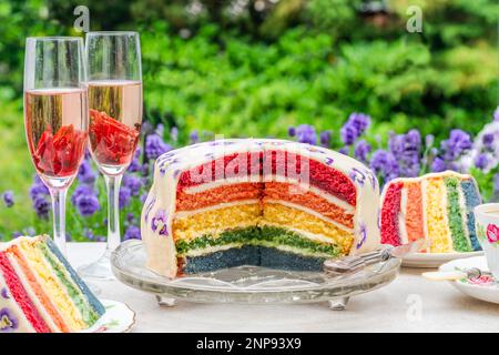 Multi layered rainbow cake set on garden table - outdoor dining Stock ...