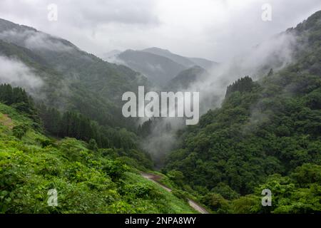 Mountains and valley in mist, Hakusan,Ishikawa, Japan Stock Photo - Alamy