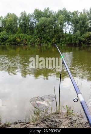 Fishing rods sit waiting for a bite at a dock or pier in Bang Saen ...