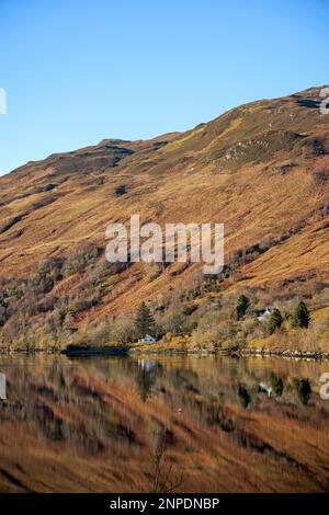 Loch Long in the Scottish Highlands Stock Photo - Alamy