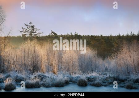 Sunrise at Cleddon Nature Reserve in the Wye Valley Stock Photo - Alamy