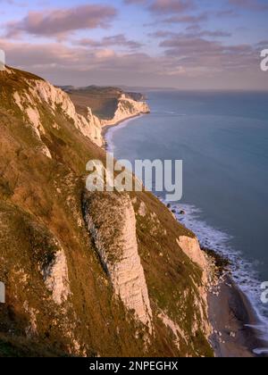 The dramatic cliffs at White Nothe on the Jurassic Coast Dorset UK ...