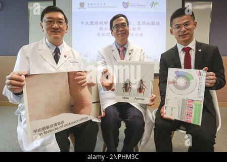 Chinese University of Hong Kong's (CUHK) Professor in the School of ...