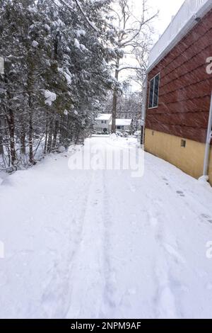 driveway covered with snow during the snow storm Stock Photo - Alamy