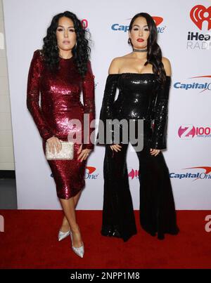 August 2nd 2020 - Brie Bella and Nikki Bella have both given birth one ...