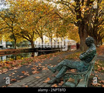 Autumn colours at the Grand Canal, Mespil Road Stock Photo - Alamy