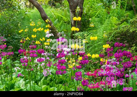 Blossoms in late spring, Connie Hansen Garden, Lincoln City, Oregon ...