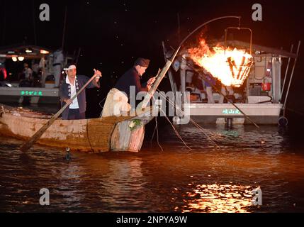 Japanese traditional way to catch sweet fish using cormorants, Ukai ...