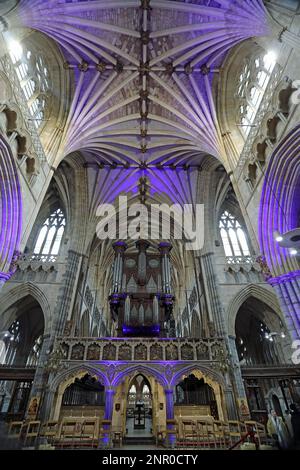 Exeter Cathedral - internal lit in blue Stock Photo - Alamy