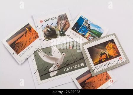 Various Canadian postage stamps on piece of yellow mailing paper ...