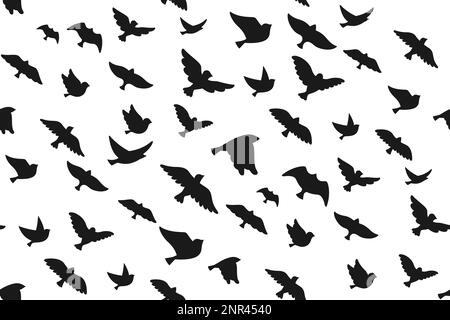 Songbird In Flight Silhouette