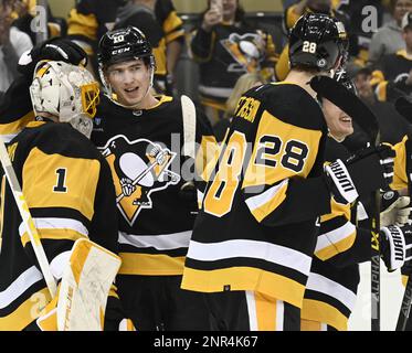 Tampa Bay Lightning right wing Scott Sabourin (46) and Florida Panthers ...