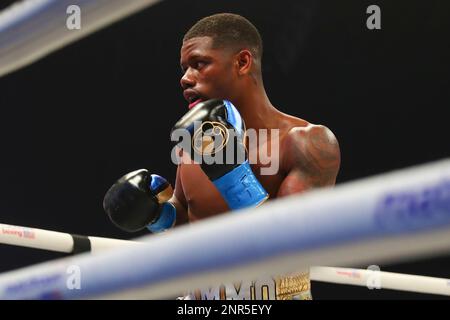 MIAMI, FL - JANUARY 30: Middleweight Alexis Espino boxes against ...