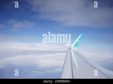 Airplane wing background ,FlyNas logo airline on the airplane wing ...