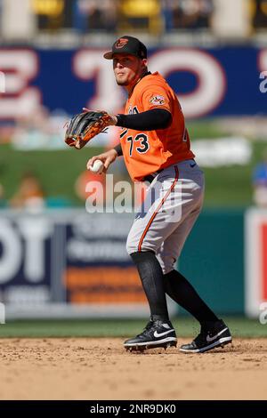 Baltimore Orioles Cesar Prieto (73) bats during a spring training ...