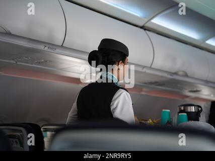 Flynass flight attendant or crew, a woman working on the airplane ...