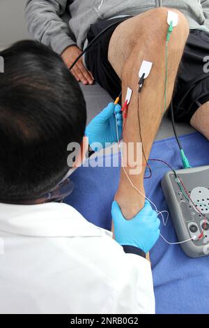 Electromyography EMG and Somatosensory Evoked Potential PEV of lower ...