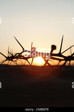 Passion Week and Lent concept with the crown of thorns and nails ...