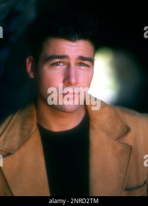 KING KONG VS GODZILLA Stock Photo - Alamy