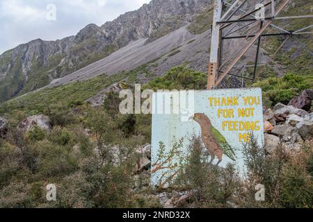 A mural asking not to feed the kea parrots at Otira viaduct overlook in ...