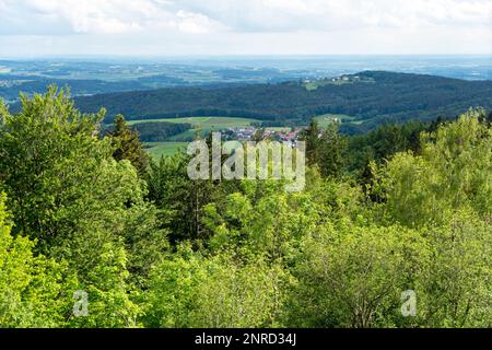 Forest areas in Germany photographed in the spring month of May Stock ...