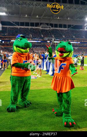University of Florida Mascots, Albert and Alberta Gator, statues in the ...