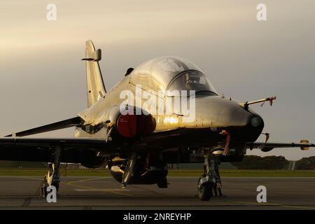 BAe Hawk T 2, ZK013, 4 Sqn, RAF Valley , Anglesey, North Wales, United ...