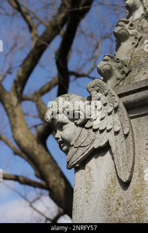 The face of an innocent child as a winged angel Stock Photo - Alamy