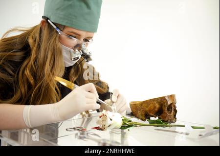 White rose with artificial blood scalpel and surgical instruments for ...