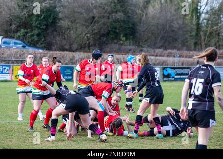 Camborne RFC play Cornish all blacks, Launceston 56/0 Stock Photo - Alamy
