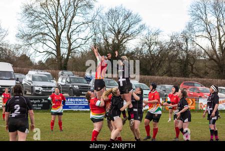 Camborne RFC play Cornish all blacks, Launceston 56/0 Stock Photo - Alamy