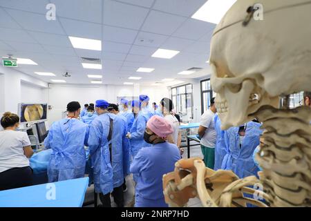 Thyroid surgery workshop on cadaver Stock Photo - Alamy
