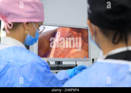 Thyroid surgery workshop on cadaver Stock Photo - Alamy