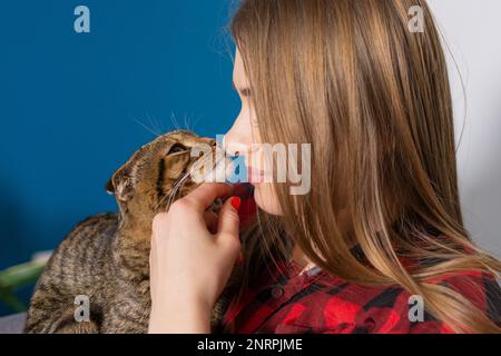 Tabby cat in woman hand in a patio Stock Photo - Alamy