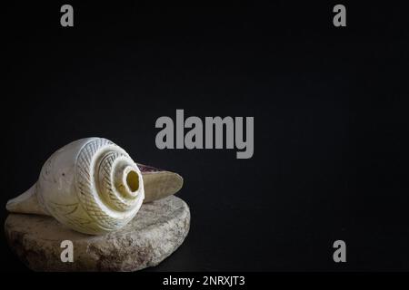 conch shell with sandalwood stick and stone. pooja essentials for ...