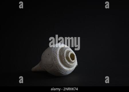 conch shell as pooja essentials for rituals during hindu religious ...